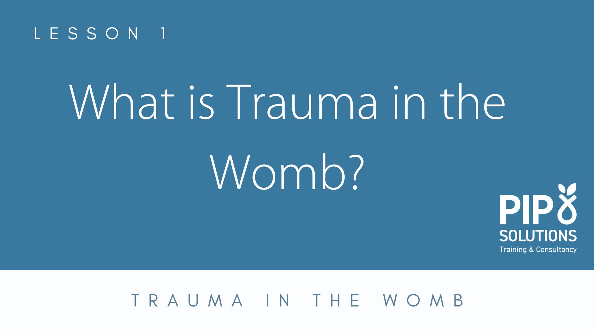 What is Trauma in the Womb? | PIP Solutions