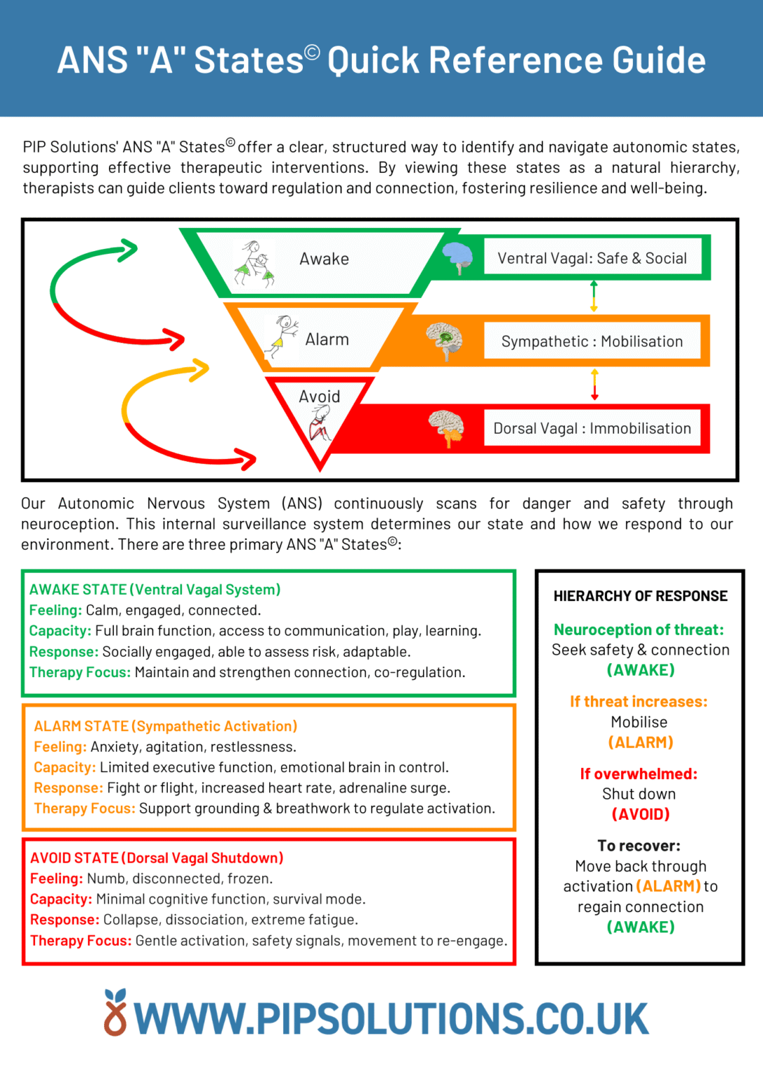 Clinical Tools | PIP Solutions